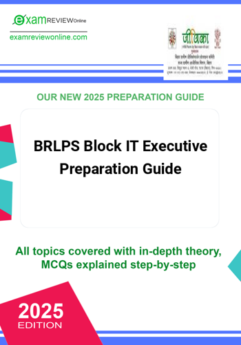 Buy BRLPS Block IT Executive Preparation Guide 2025 Edition ...
